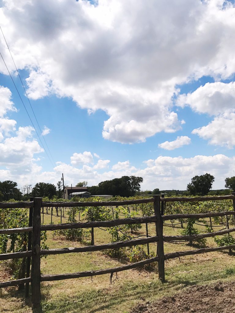 Fall Weekend in Fredericksburg, TX – Kristle Lauren